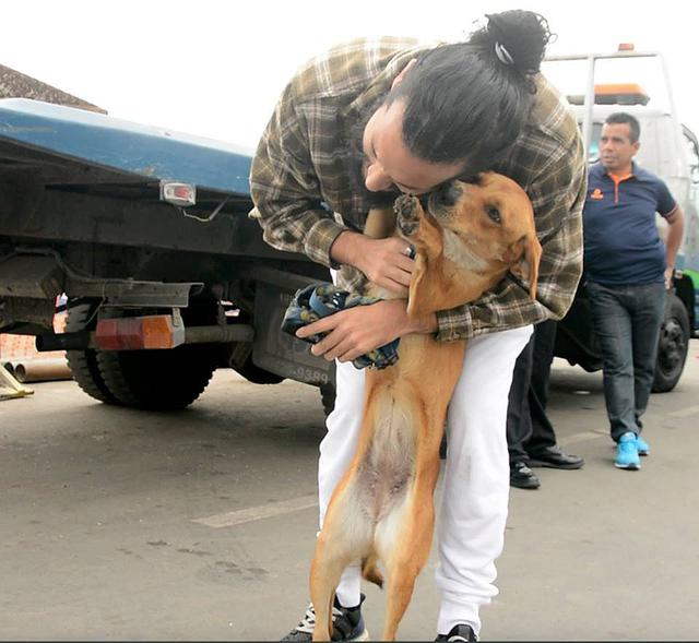 Perro extraviado vuelve a casa y con amo que lo ama gracias a sereno ...