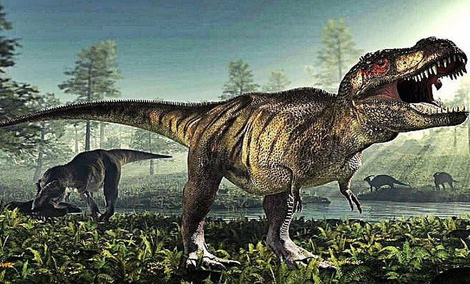 ¿Cuántas especies de dinosaurios se han encontrado? Tipos de ...