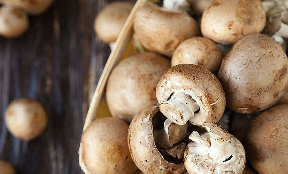 La tradición milenaria de consumir hongos | Mujer | Ojo