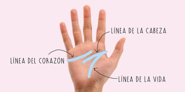 Línea de vida de la mano: ¿Qué dice de su salud y de su futuro? web ojo ...