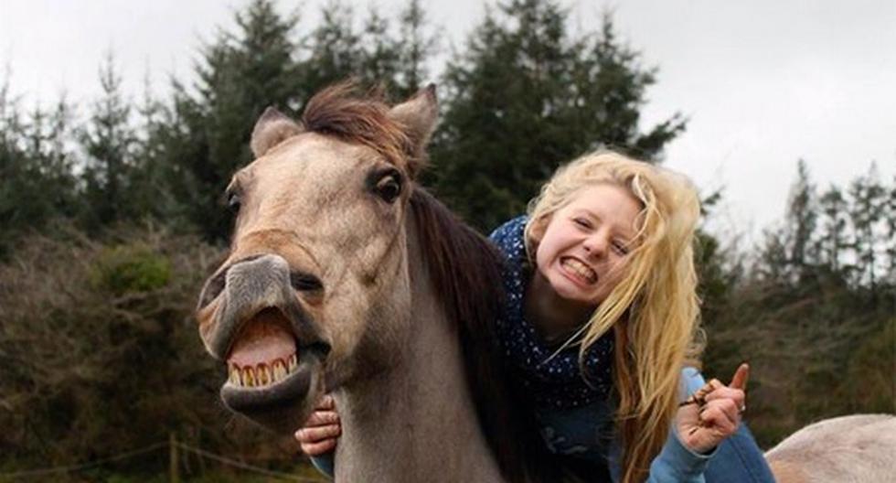 Caballos y los humanos comparten expresiones faciales muy similares ...