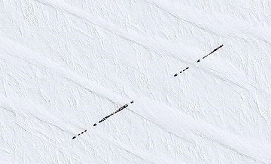 ¿Una línea negra sobre un fondo blanco? ¡No te imaginarás lo que ...