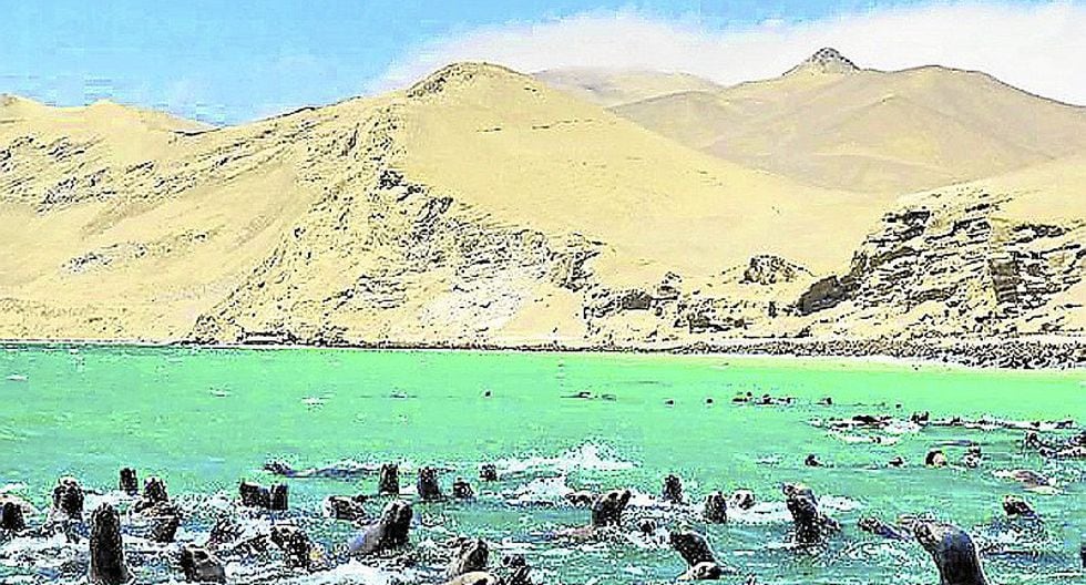 Riqueza del Mar de grau | Actualidad | NOTICIAS OJO PERÚ