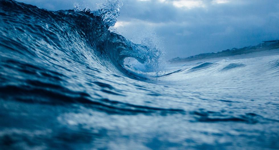 Facebook | YouTube | Twitter | Viral | ¿La Tierra era un “mundo ...