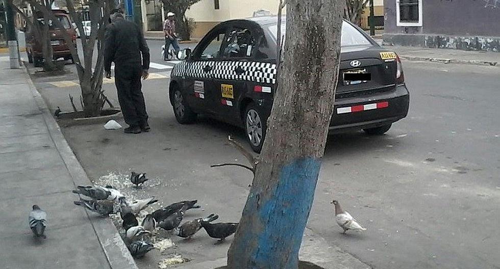 Barranco: Alimentan a palomas pese a estar prohibido | CIUDAD | OJO