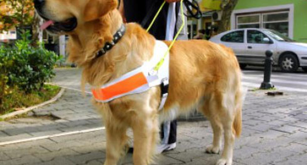 Invidentes podrán entrar con perros guía a locales de San Isidro ...