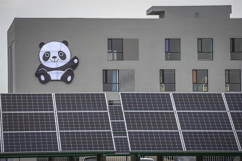 China: inauguran planta de energía solar con forma de oso panda [FOTOS ...
